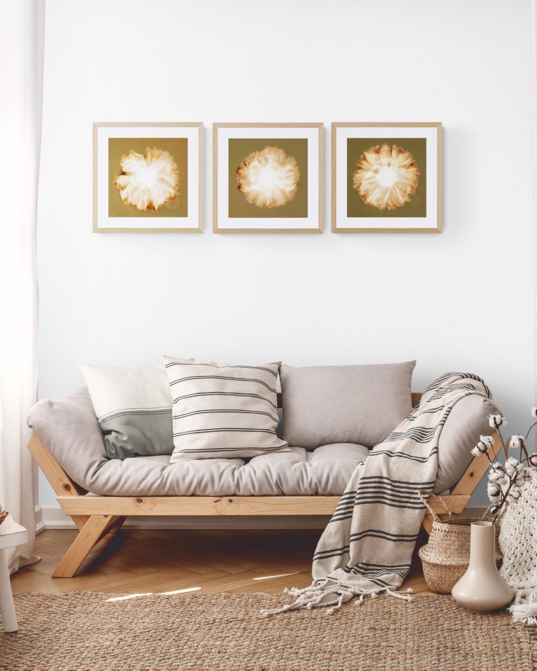 What is Lumen Print Art? - Alchemi Art