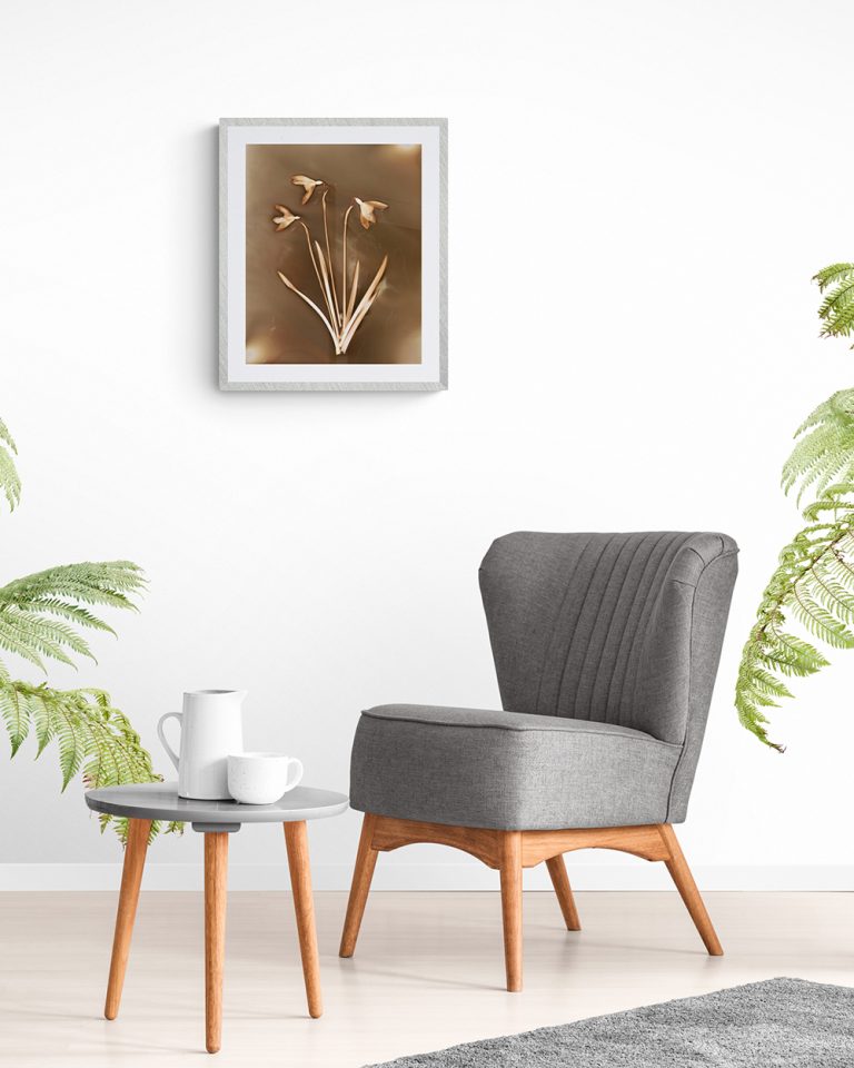 What is Lumen Print Art? - Alchemi Art
